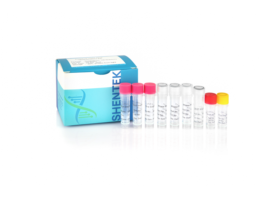 SHENTEK Residual 293T RNA Quantitation Kit